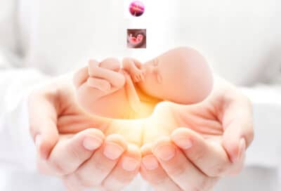 What is The Journey of the Egg to The Embryo? Dr Rhythm Gupta