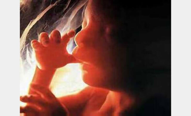 Growth of Baby Month by Month Inside The Womb | Dr Rhythm