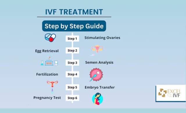 What's The Difference Between IUI And IVF?