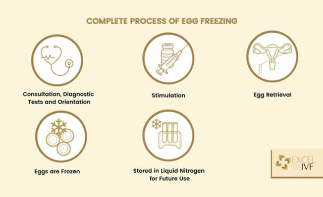 What is the process of Egg Freezing?