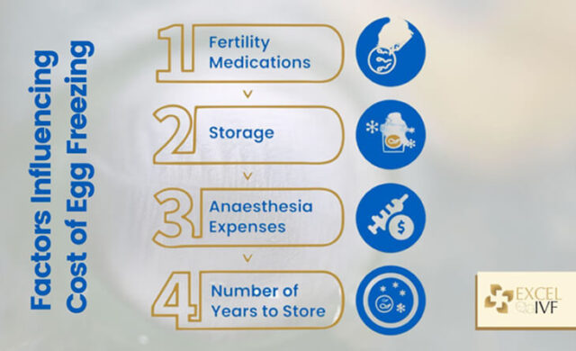 What is the process of Egg Freezing?