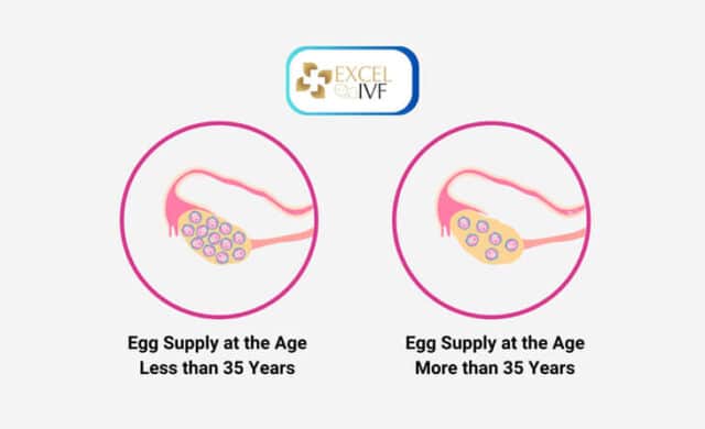 How to Improve Egg Quality and Quantity | Dr Rhythm Gupta
