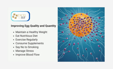 How to Improve Egg Quality and Quantity | Dr Rhythm Gupta