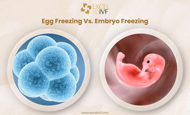Egg Freezing vs. Embryo Freezing