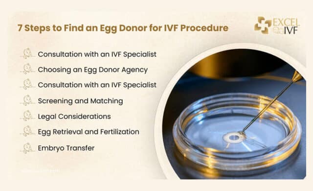 How to Find an Egg Donor: A Comprehensive Guide