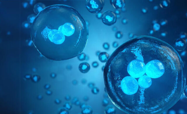 How Long Can an Embryo and Egg Be Frozen?